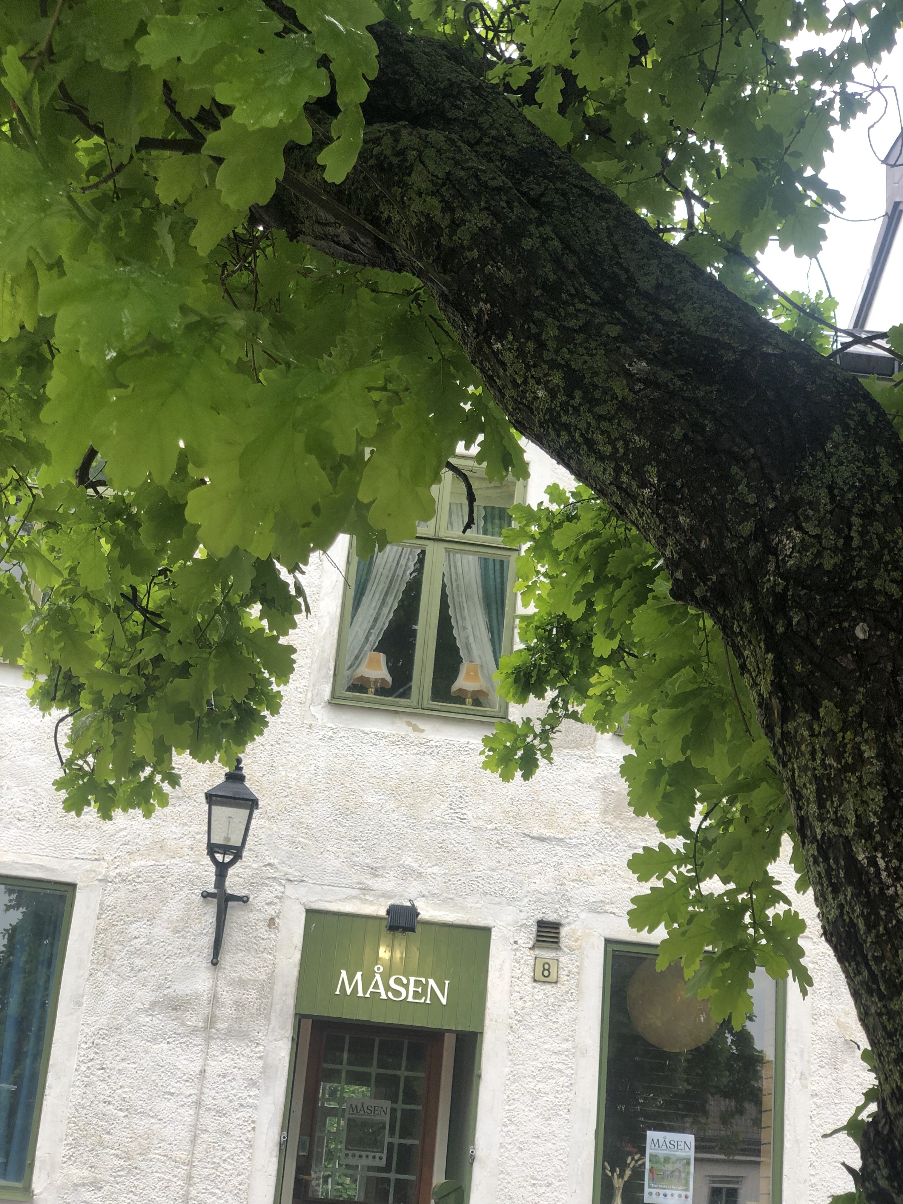 Om Mariefreds tidning/Måsen - Mariefreds tidning/Måsen